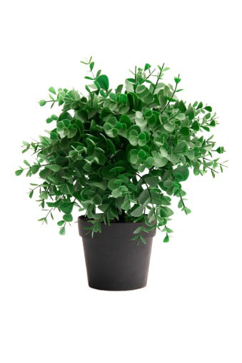 Spyhub Flower Pot Camera – spyhub.in